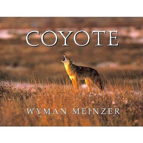 Wyman Meinzer | Other | Coyote Wyman Meinzer | Poshmark